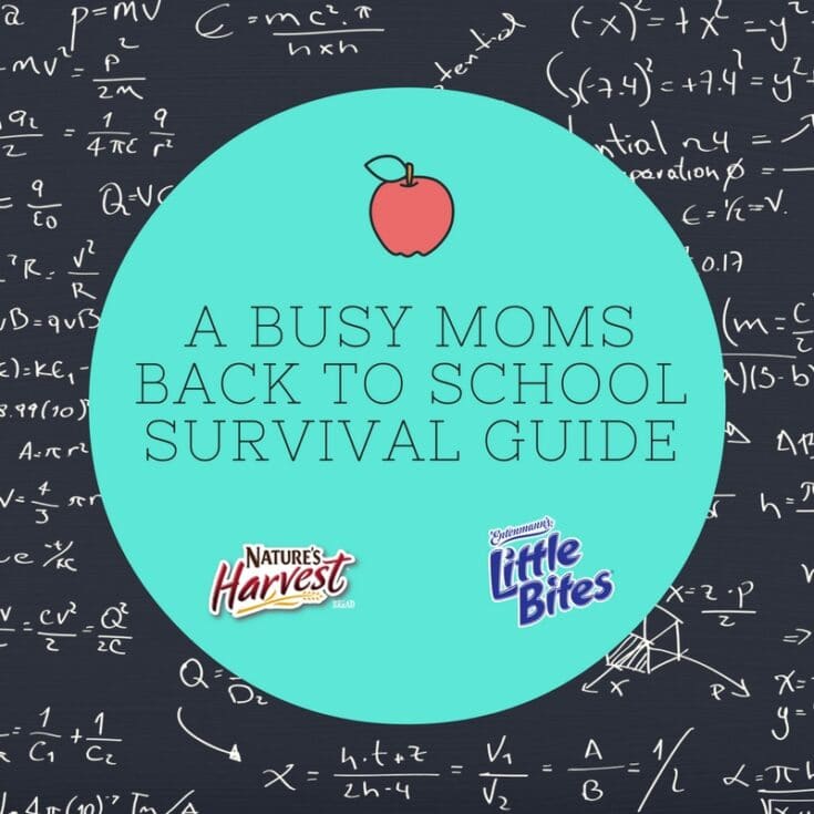 A Busy Moms Back To School Survival Guide - Sparkles to Sprinkles