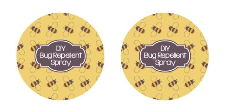 DIY Essential Oils Bug Repellent Spray - Sparkles to Sprinkles