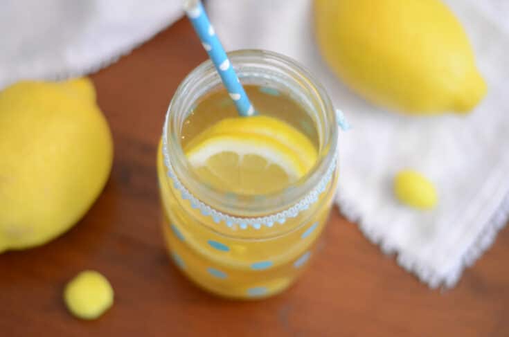 Instant Pot Lemon Drop Moonshine - Sparkles to Sprinkles