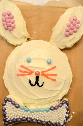 Easter Bunny Cake - Sparkles to Sprinkles