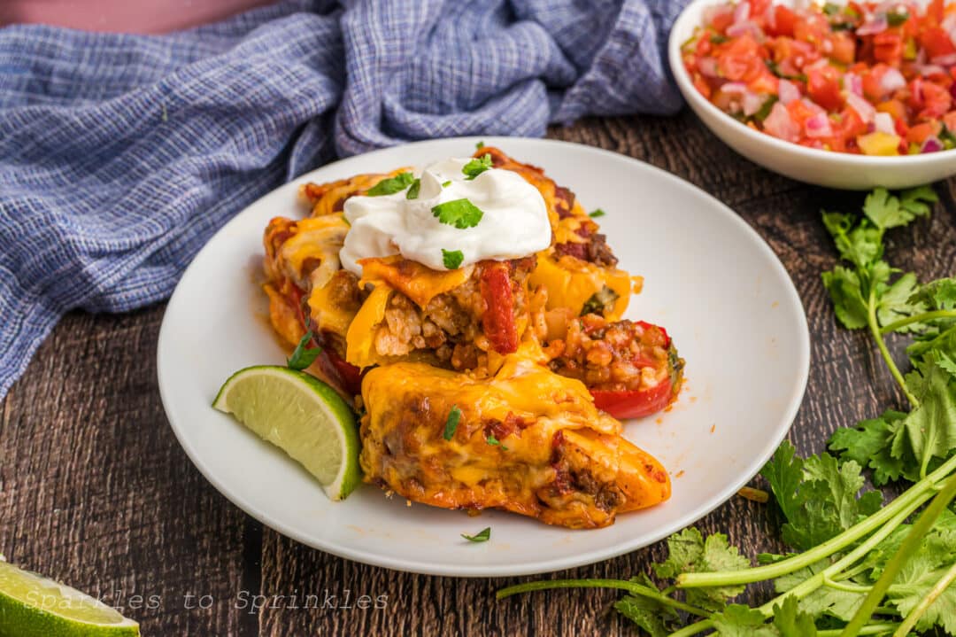 Instant Vortex Plus Air Fryer Ribeye Steak - Sparkles to Sprinkles