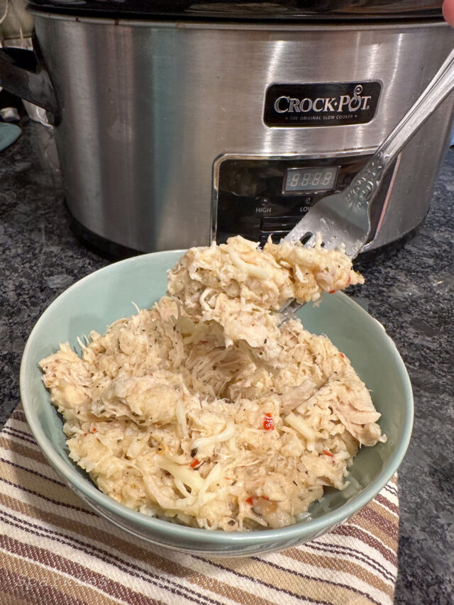Crockpot Buffalo Wild Wings Parmesan Garlic Chicken & Rice - Sparkles ...