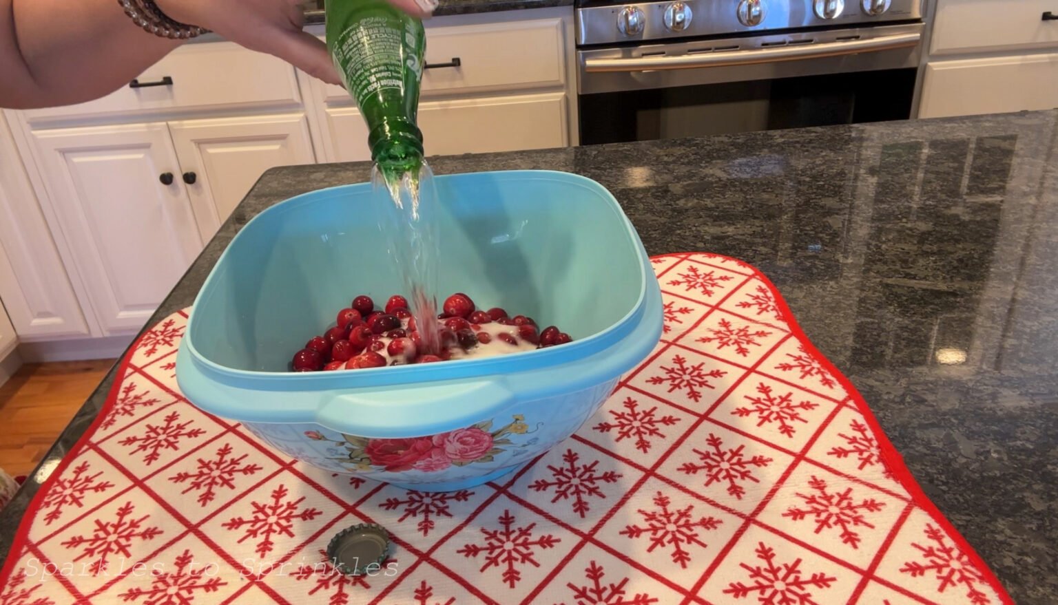 Powdered Cranberries: The TikTok Viral Holiday Treat You Need to Try ...