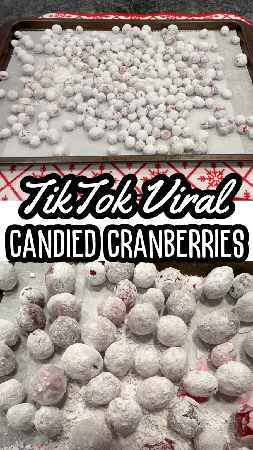 Powdered Cranberries: The TikTok Viral Holiday Treat You Need to Try ...